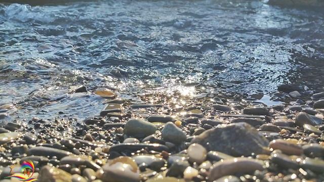 Звуки природы. Фильм 6. Ручей и море Sounds of Nature. Movie 6. The Stream and the Sea