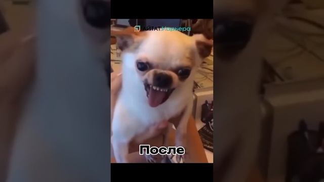 Пожалуйста, берегите свои нервы😌