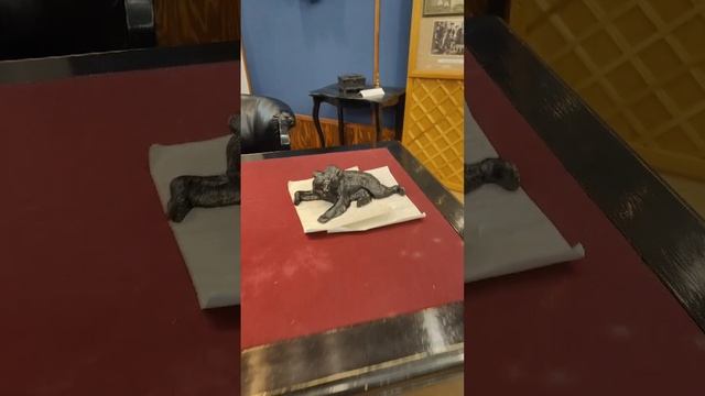 #лайфстайл Поездка.В Демидов Центр. ч.4