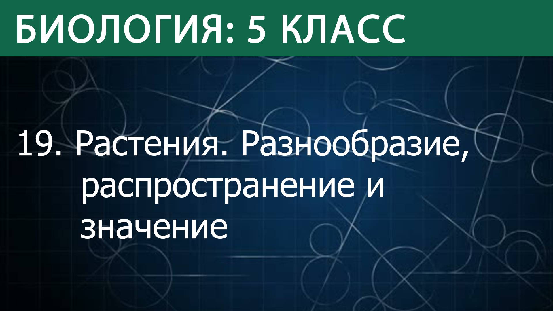 Биология 5 класс: Разнообразие, распространение, значение растений