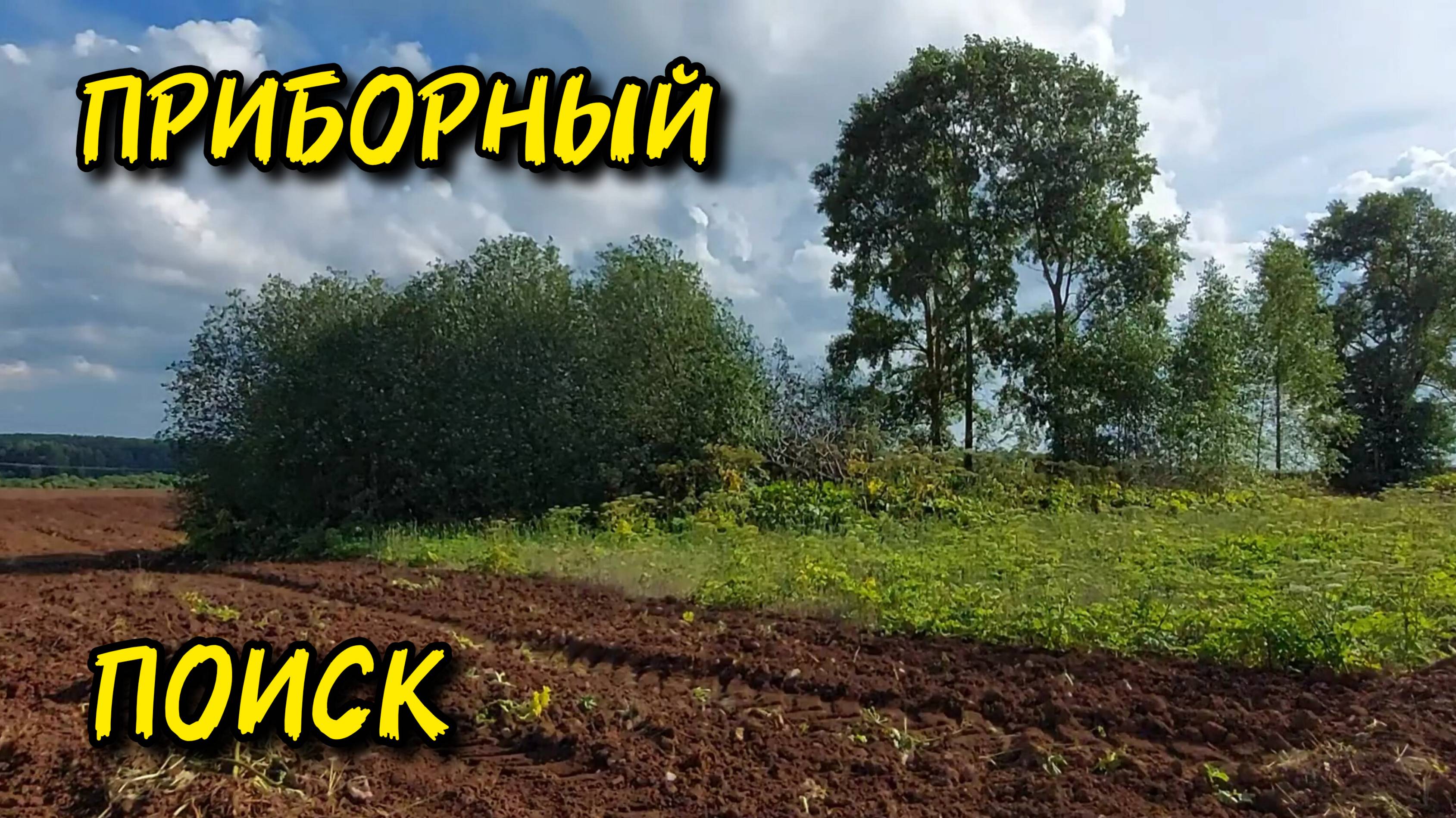 Приборный поиск на распаханном урочище 2024