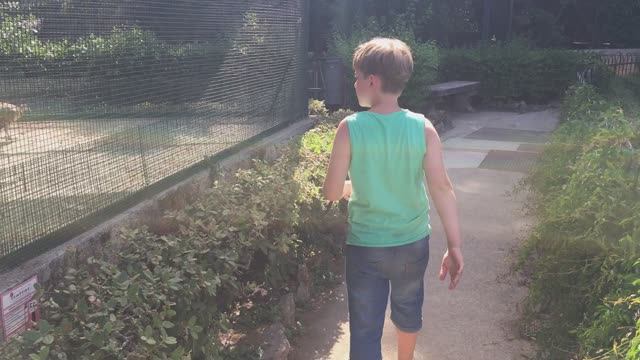 Разговор с птицами. Палермо, 2017