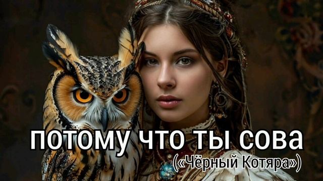 Потому что ты сова («Чёрный Котяра»)