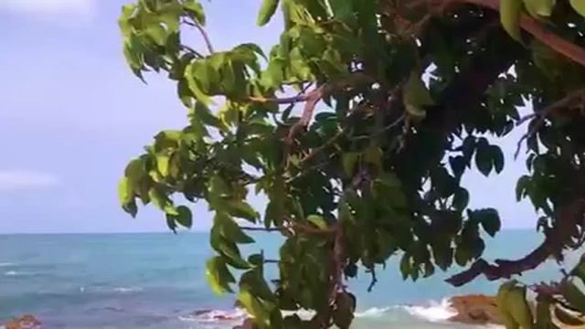 Аллилуйя. Детские Христианские Песни