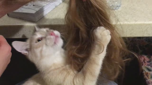 Ося в Полининых волосах