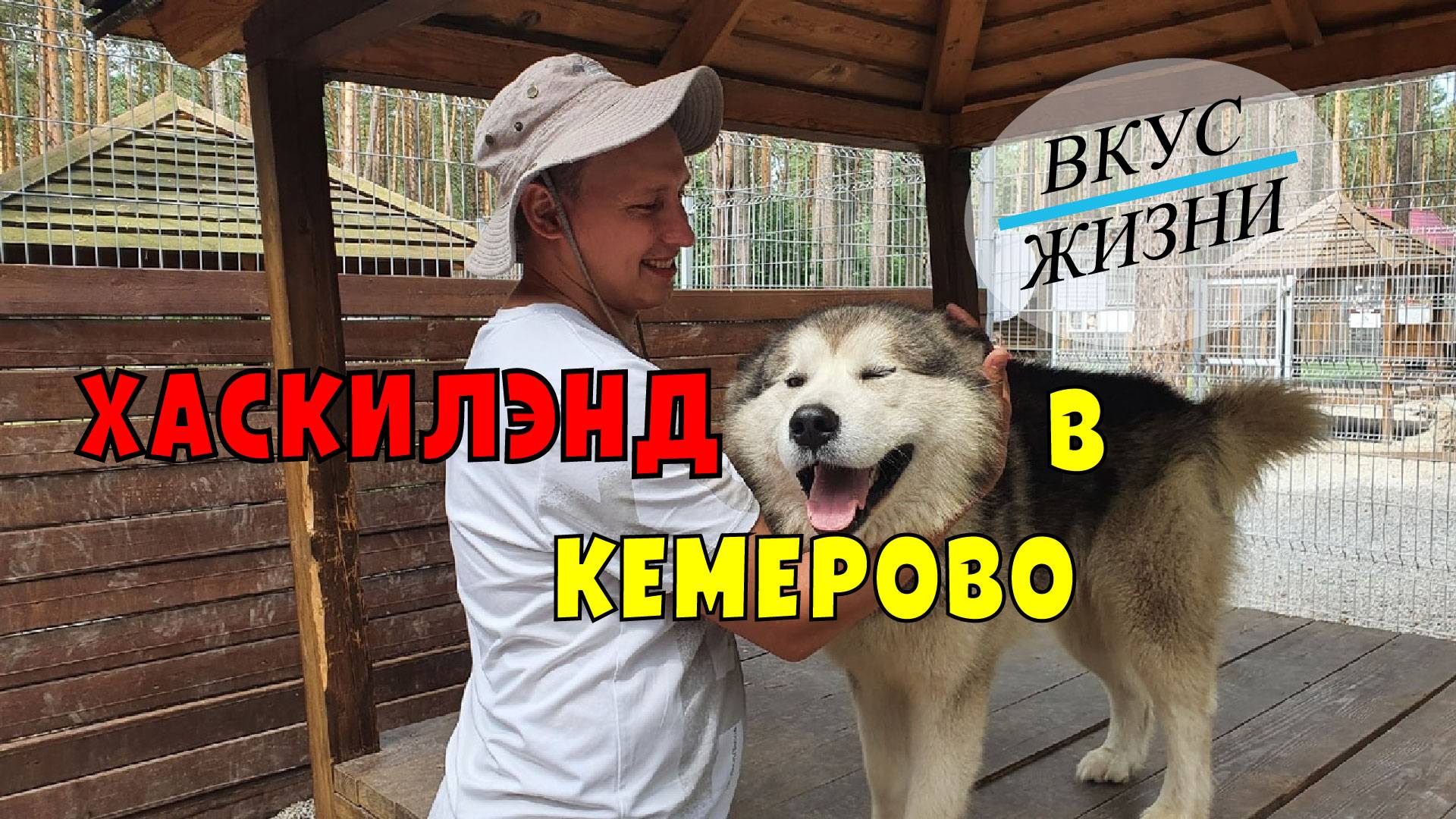 Отдых в "Хаски Ленд"