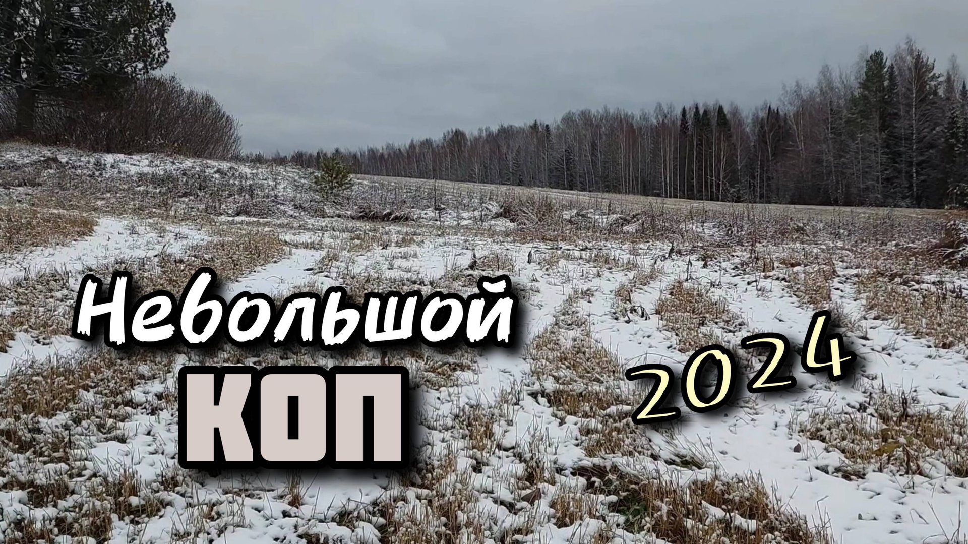 Небольшой коп с металлоискателем TX 850