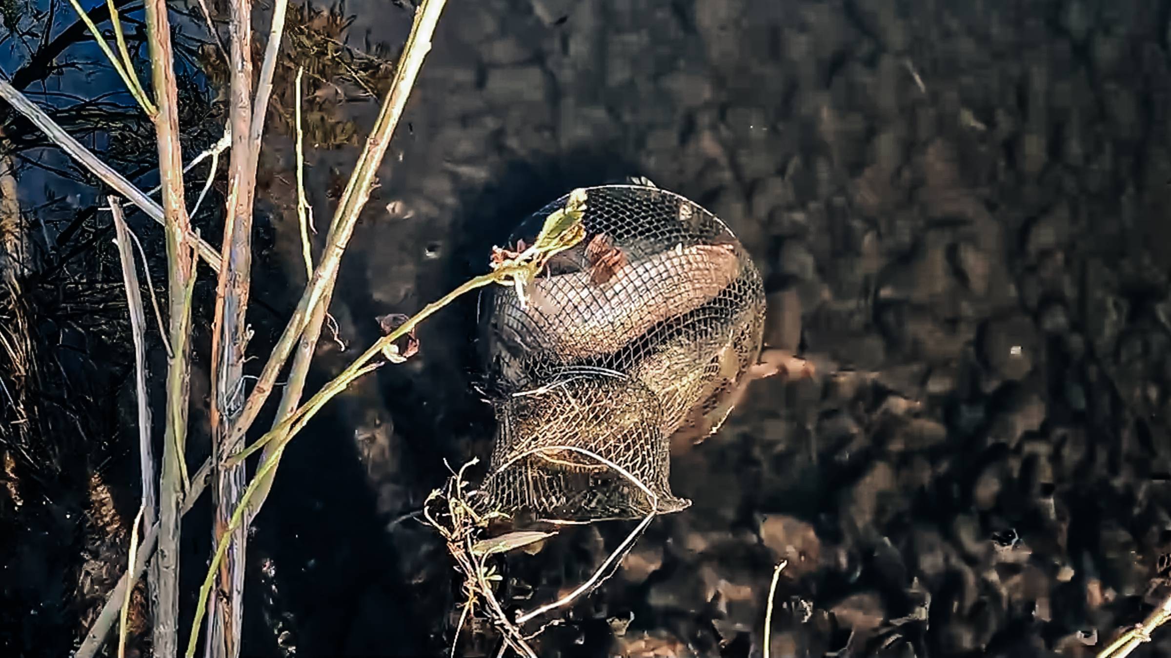 ОСЕННИЙ РЫБОСПЛАВ 110924