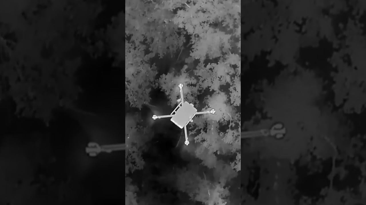 Воздушный бой.