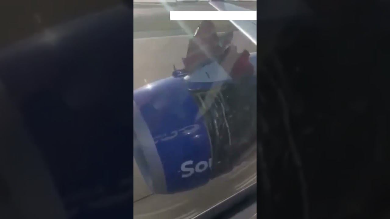 Злой дикий гусь заставил понервничать пассажиров и экипаж А350