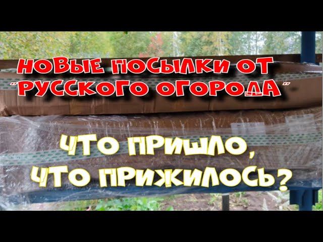 Посылка из Русского огорода  Что прислали, прижилось?