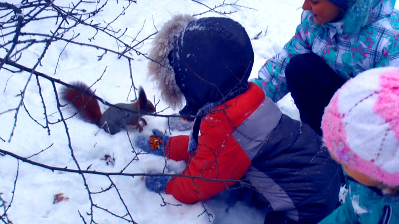 Бесстрашные Белки в Лесу Красноярск❤️