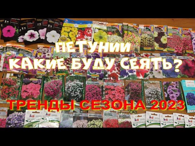 ОБЗОР СОРТОВ ПЕТУНИЙ.
