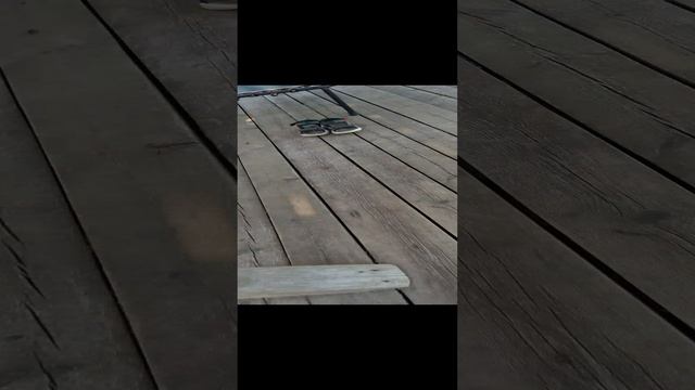 Селятино приключение Ромы и Маши 1 серия беседка и газон мультики для детей (только для детей) 0+