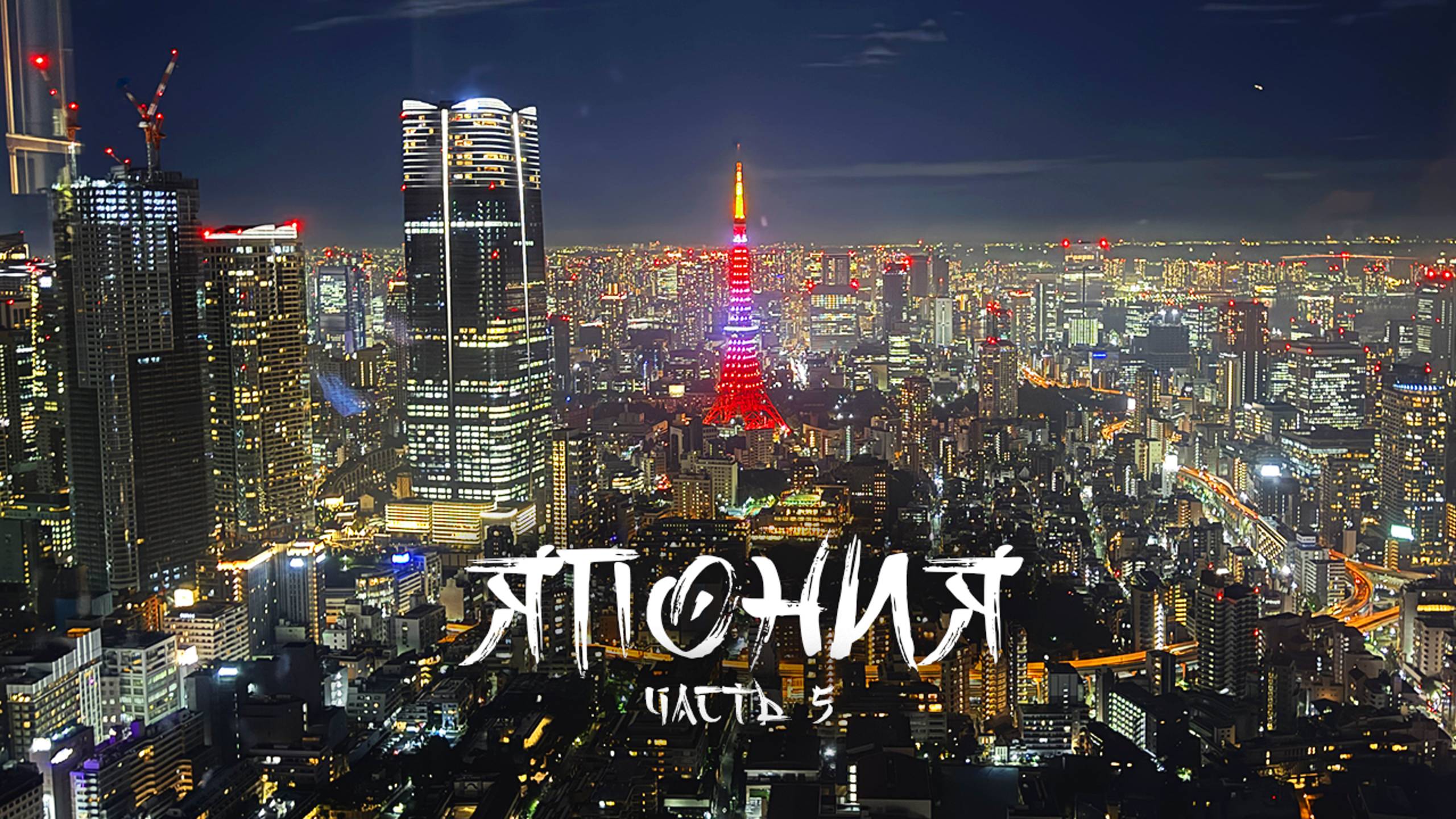 Япония. ч5. Цены на продукты: мясо, рыба, овощи. Смотровая площадка Tokyo City View.