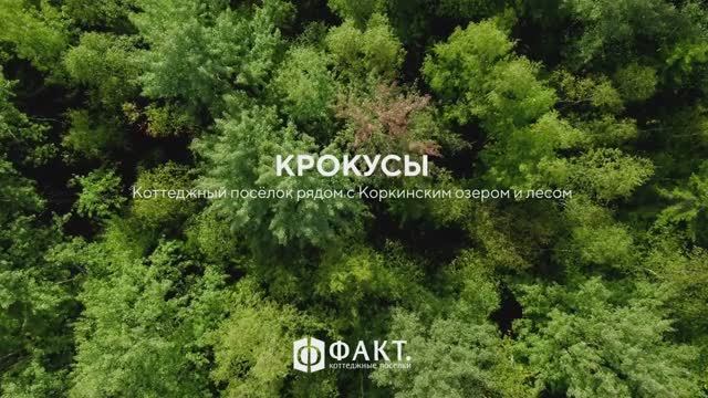 Крокусы. Коттеджный посёлок рядом с Коркинским озером. 13 км. от СПб. 2021 год