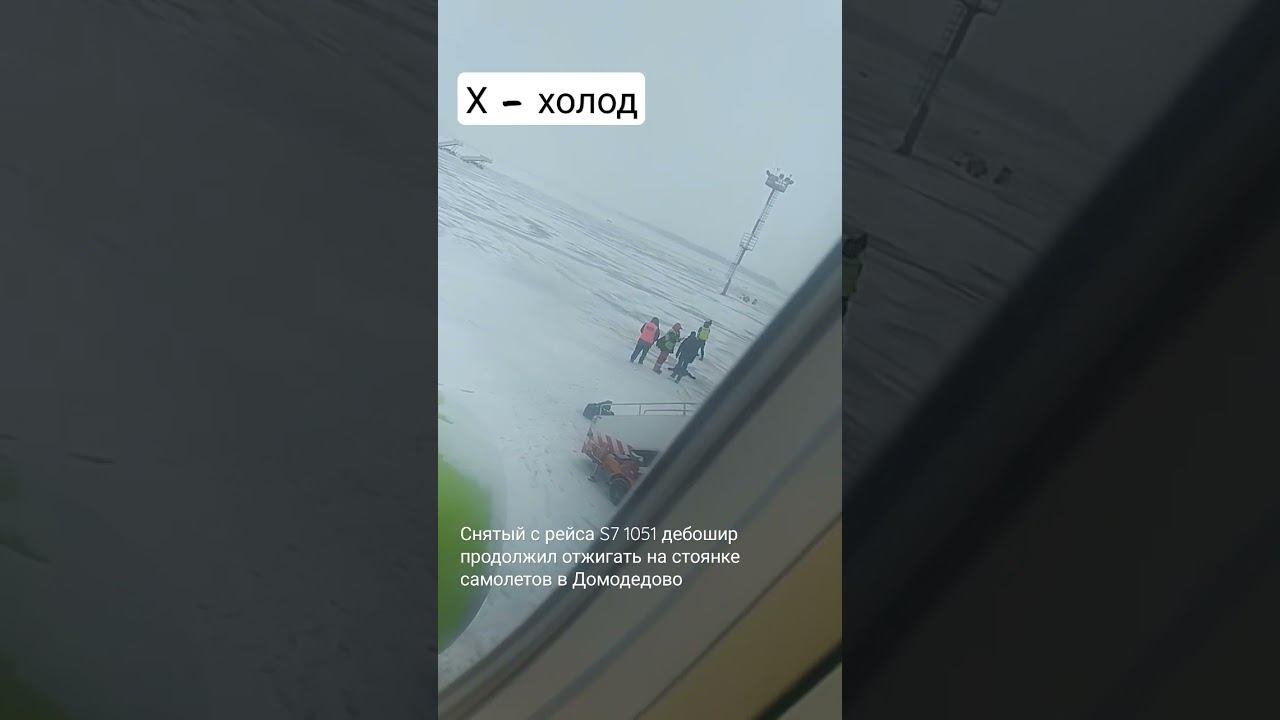 Дебошир разделся на стоянке самолетов в Домодедово. 19.02.2023