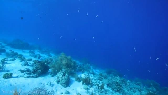 Индонезия - Живописный фильм!