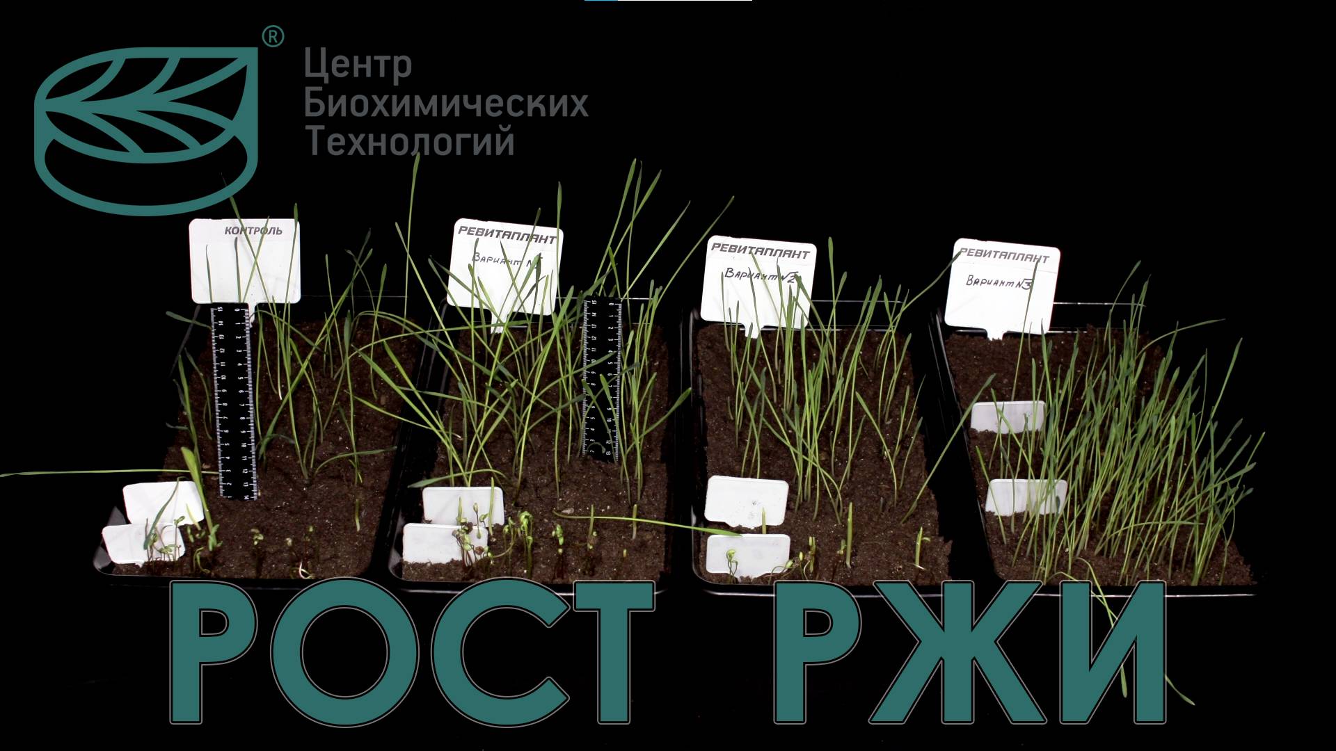 Эксперемент с контролем