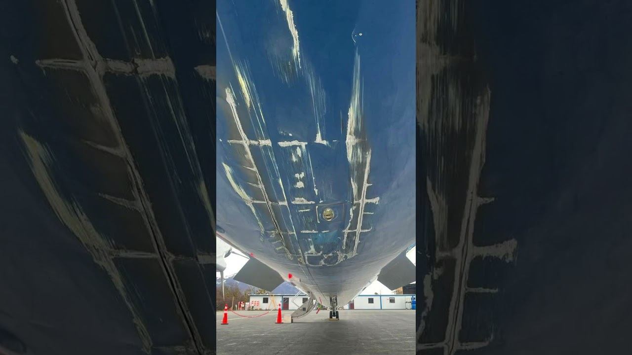 "Дал козла" при посадке - самолет на выброс.