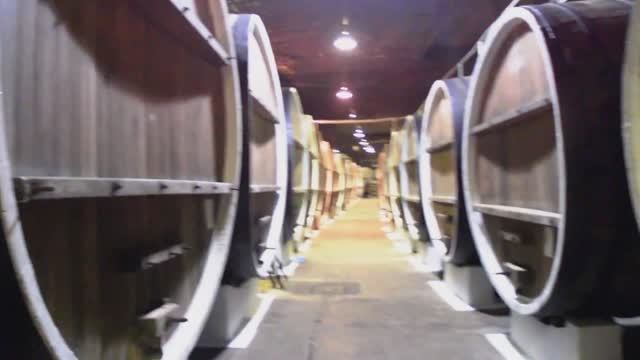Прогулка по подвалам Инкерманского завода марочных вин в Севастополе
