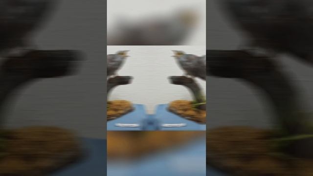 #фото Демидов Центр.