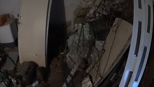 Елочка гори