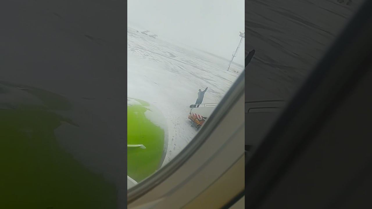 Домодедово: полуголый дебошир Алексей замерз и таки решил одеться. 19.02.2023 рейс S7 1051.