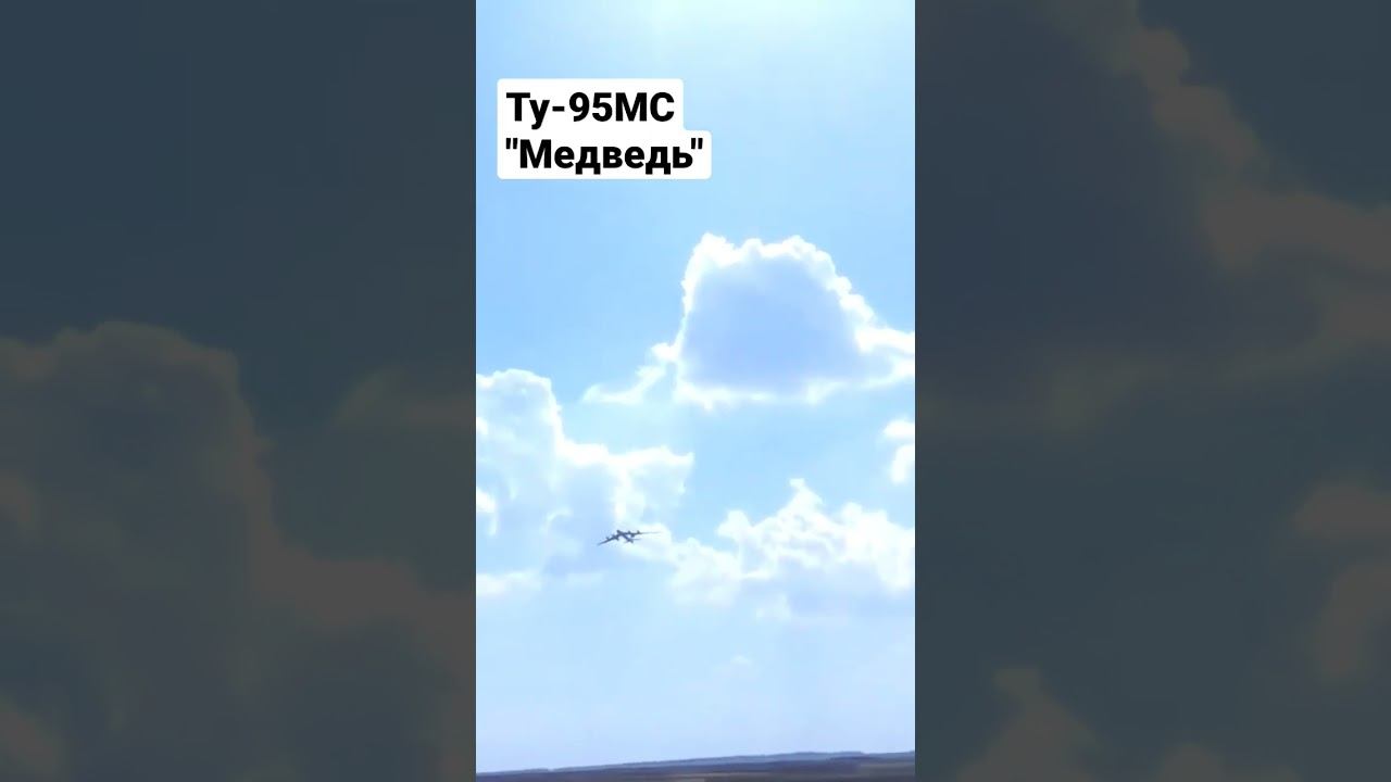 Ту-95МС. Ребенок его сразу же узнал.