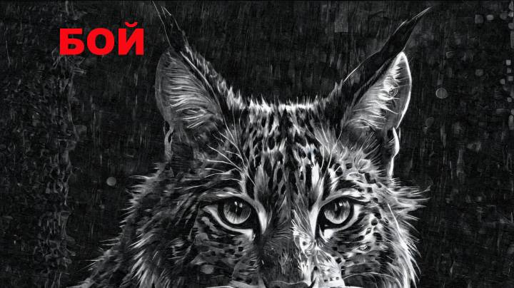 Глава "Бой" из книги "Лукавый мир"