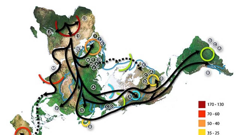 #29 Человечество в эпоху палеолита. Часть 14. Люди современного типа