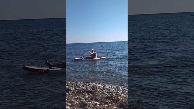 Золотистый Ретривер Чуя катается на сапборде! Геленджик.