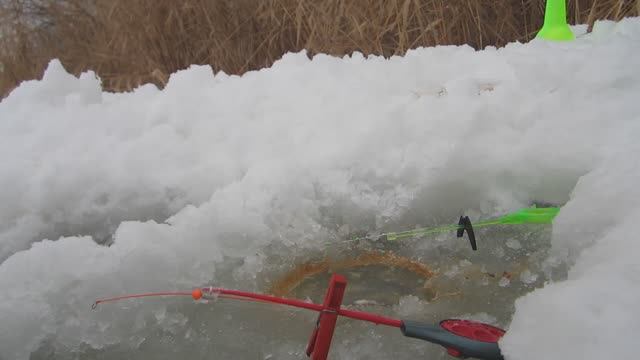 ПРИШЁЛ ПОЛОВИТЬ НА МОРМЫШКУ А ТАМ... В ШОКЕ ОТ УВИДЕННОГО