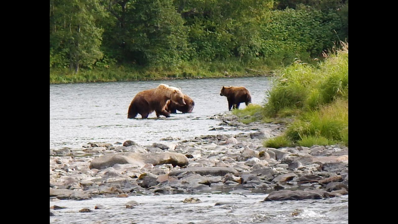 Путешествие на тёплую землю. Камчатка, август 2014, фильм первый.
