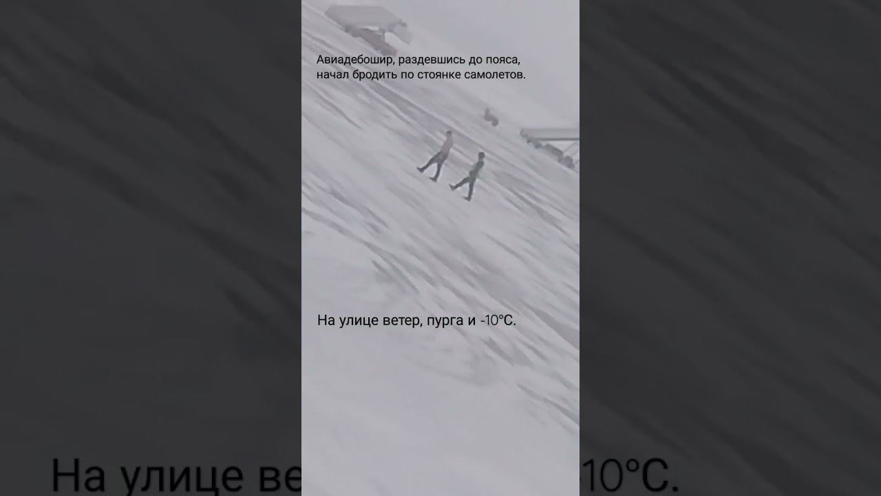 19.02.2023, аэропорт Домодедово. Инцидент с рейсом S7 1051. @MoscowDomodedovoAirport