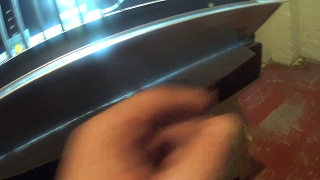 16-й день инкубации перепелиных яиц