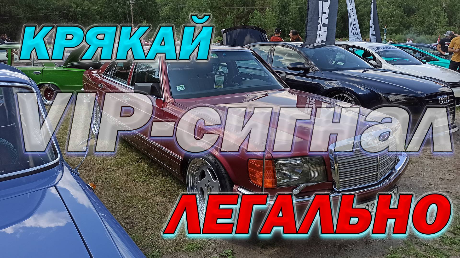 Обзор ВИП-сигнала Элина, установленного на VW Tiguan