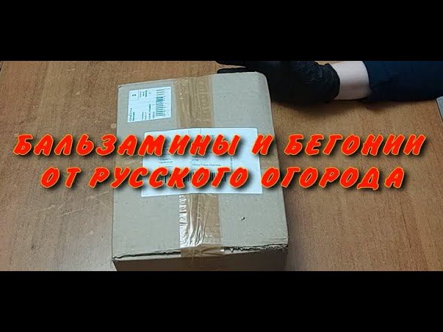 Бальзамини и элатиорки от Русского огорода