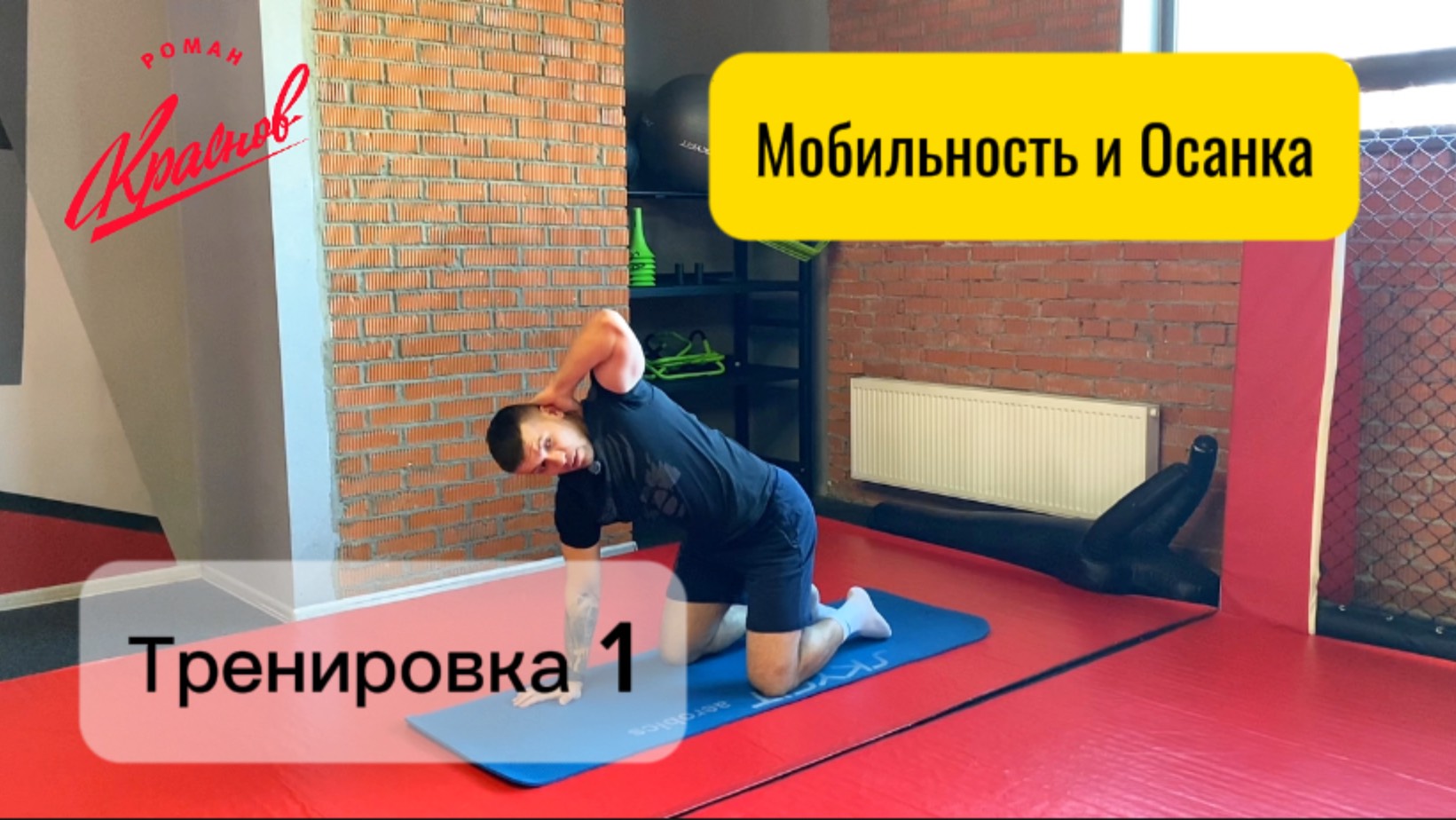 Мобильность и осанка. Тренировка 1.