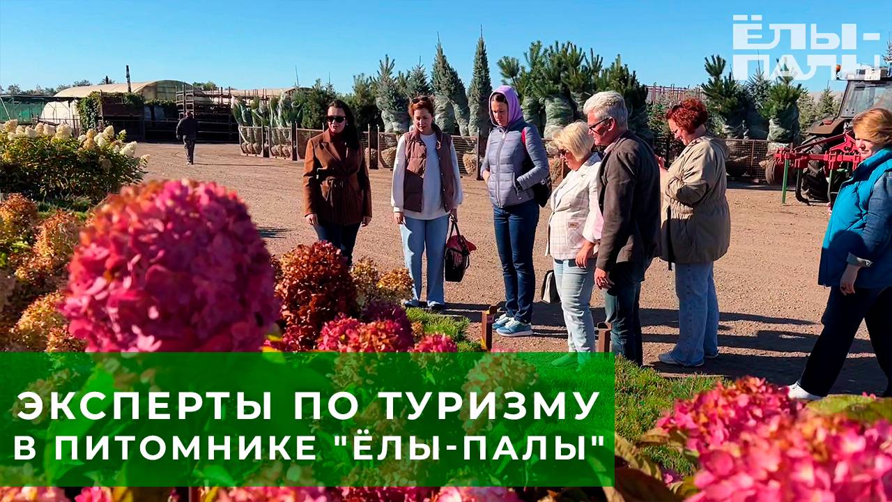 Эксперты по туризму в ЁЛЫ-ПАЛЫ