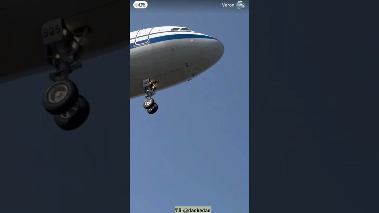 Птицы и самолет.