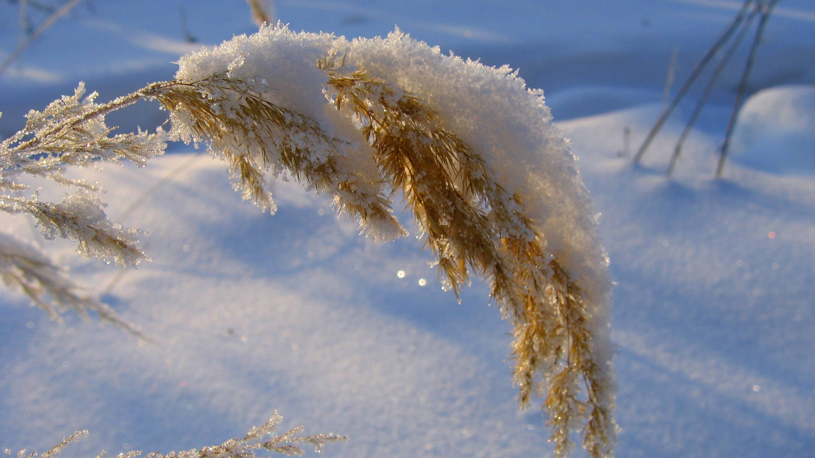 Зимняя подборка фото российской провинции под песню Алисы Фрейндлих