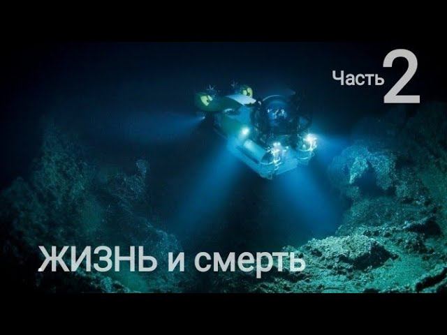 РЕПОРТАЖ ИЗ ГЛУБИНЫ ДУШИ.Часть2. #рассказ#фильмы##фильм#культура#хобби#познаниесебя#вайлдберриз#кино