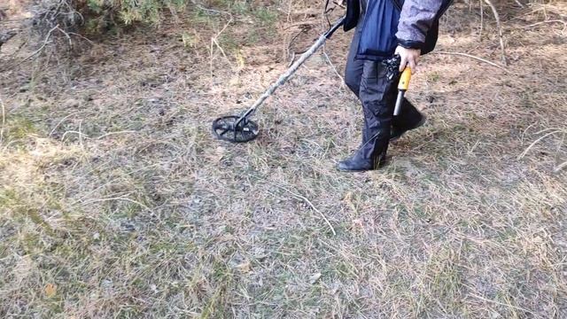 ✅Как собирать осенние грибы. Лесной поход. Ч. 3✅