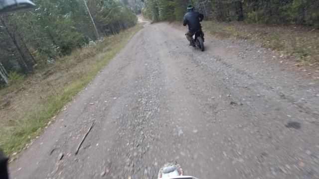 Осенний забег (02.10.2022)
