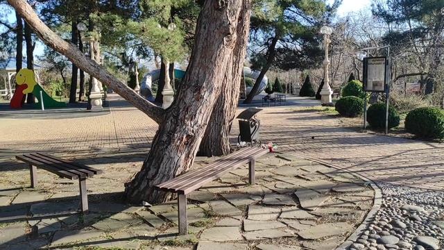 Андреевский парк в Геленджике.