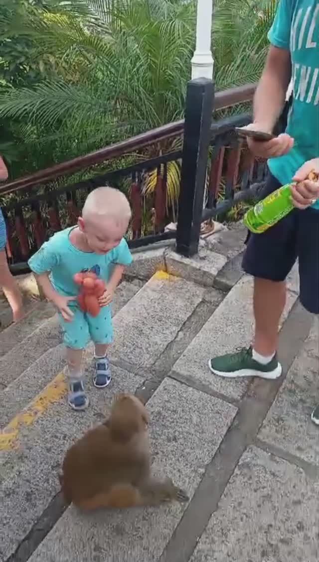 Обезьяна схватила малыша #обезьяна #мартышка #ребенок #малыш