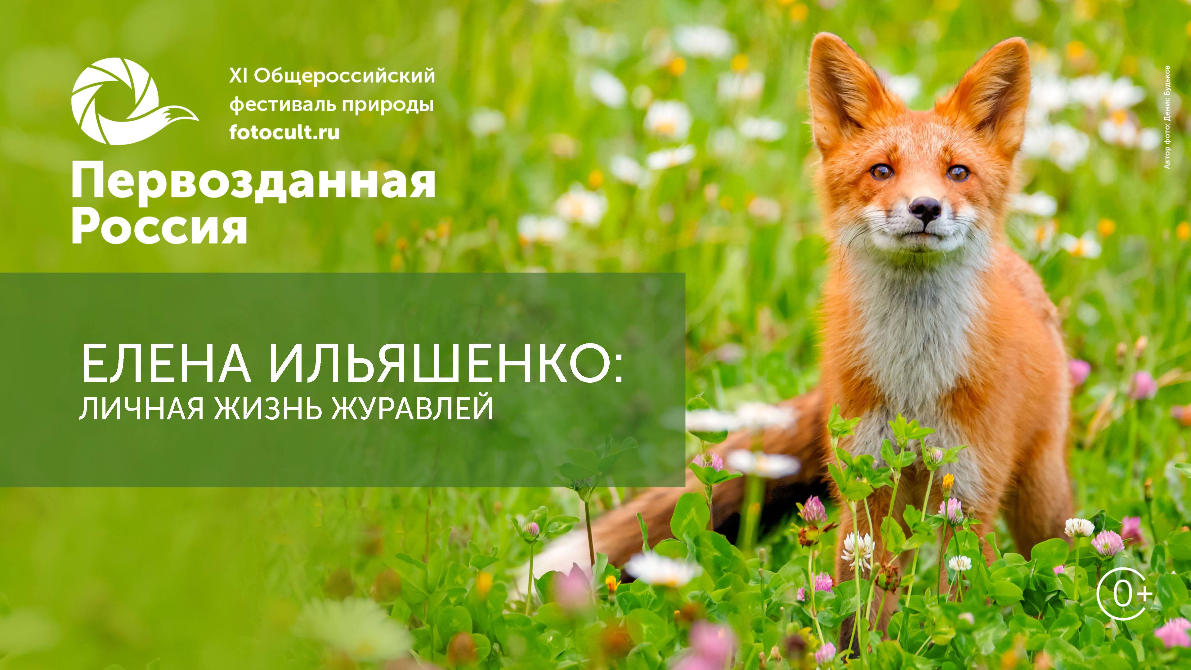 Елена Ильяшенко: Личная жизнь журавлей - всё как у людей