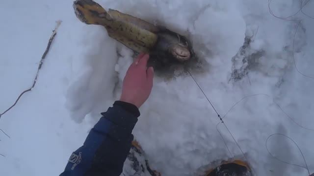 ПОСТАВИЛИ ДОМ НА РЕКЕ10кв.м.2ч.НАЛИМЫ НА ЖИВЦА.ЖЕРЛИЦЫ МОЛЧАТ.НО...