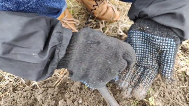 Искали монеты ,  а попали на минное поле.